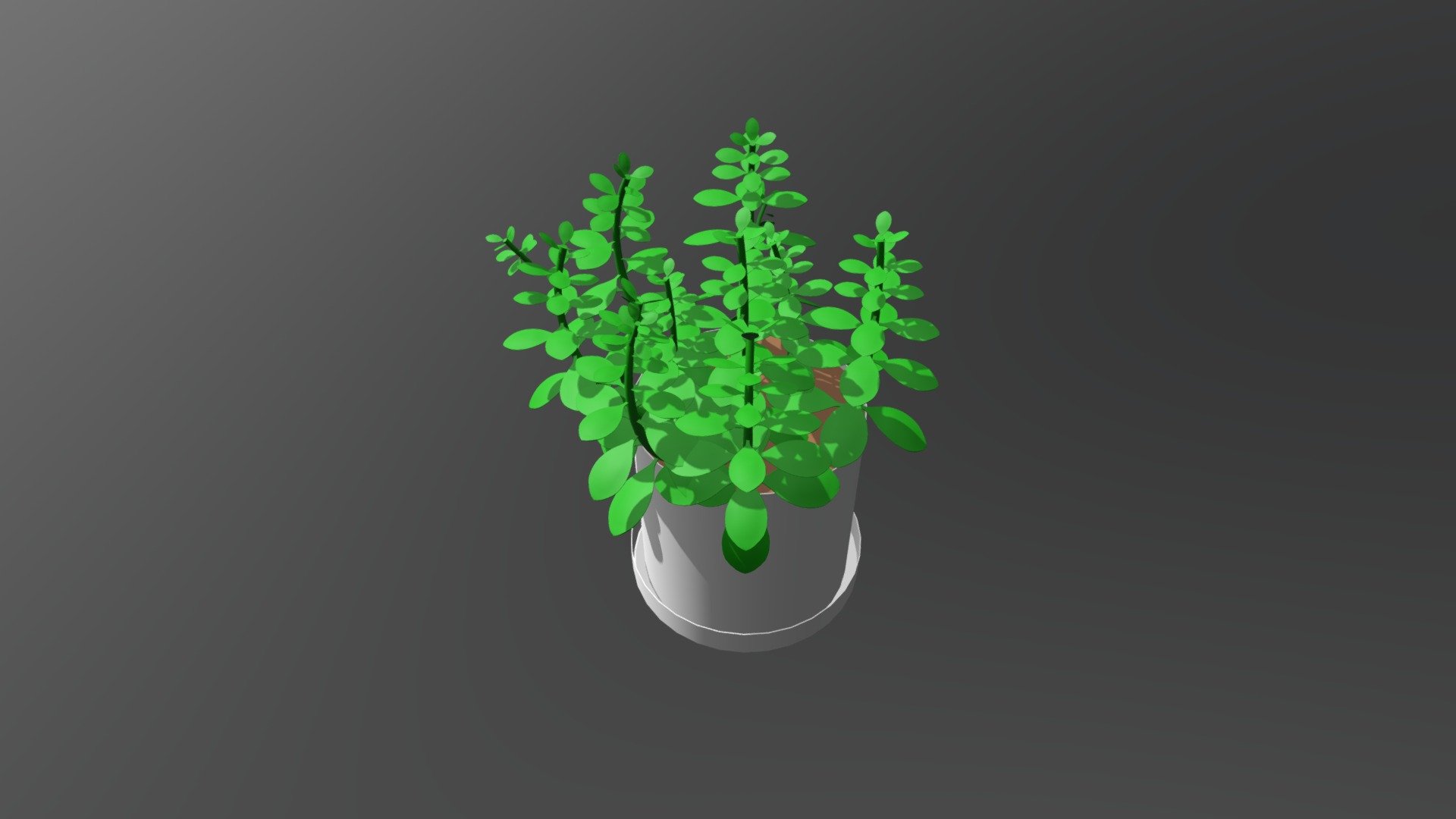Jade Plant - Download Free 3D model by jakeboxer [7f3c053] - Sketchfab