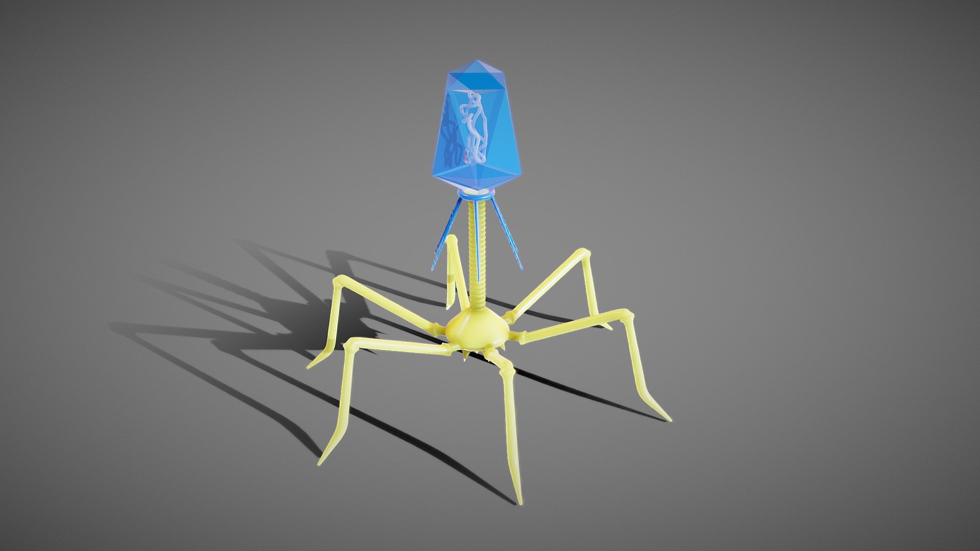 Bacteriophage Anatomy - Buy Royalty Free 3D model by Nima (@h3ydari96 ...