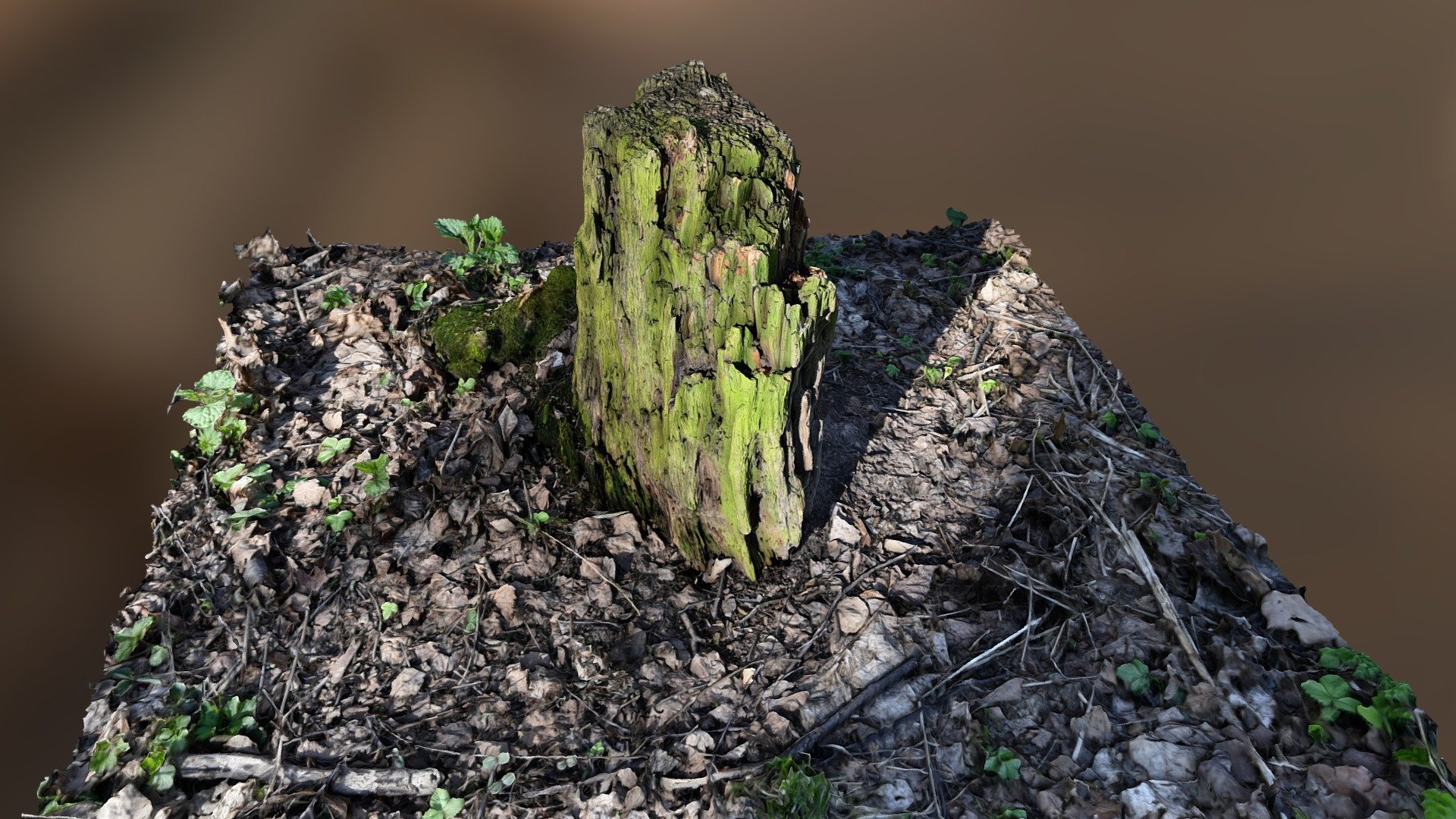 Green stump - 3D model by Neo_minigan (@neominigan) [7f4647f] - Sketchfab