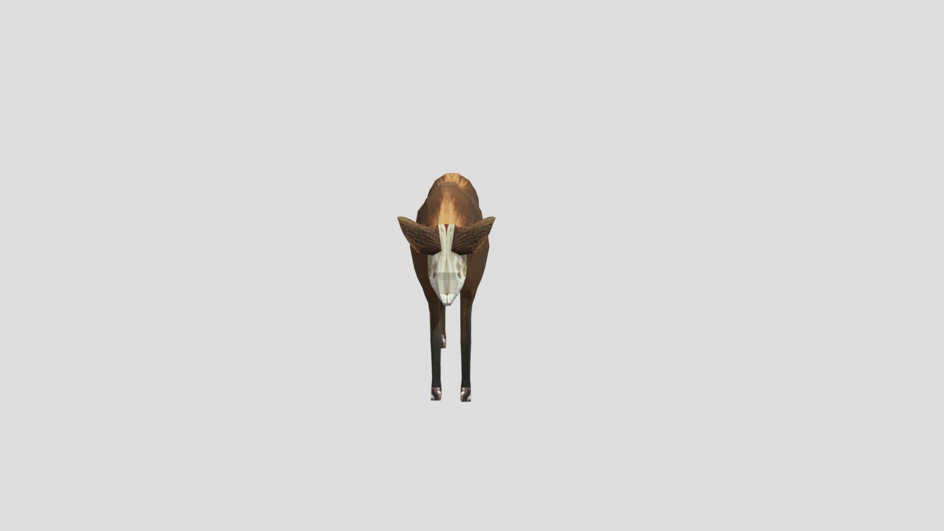 Maned Wolf Oc 3d Model By Tsu0227 7f472ad Sketchfab