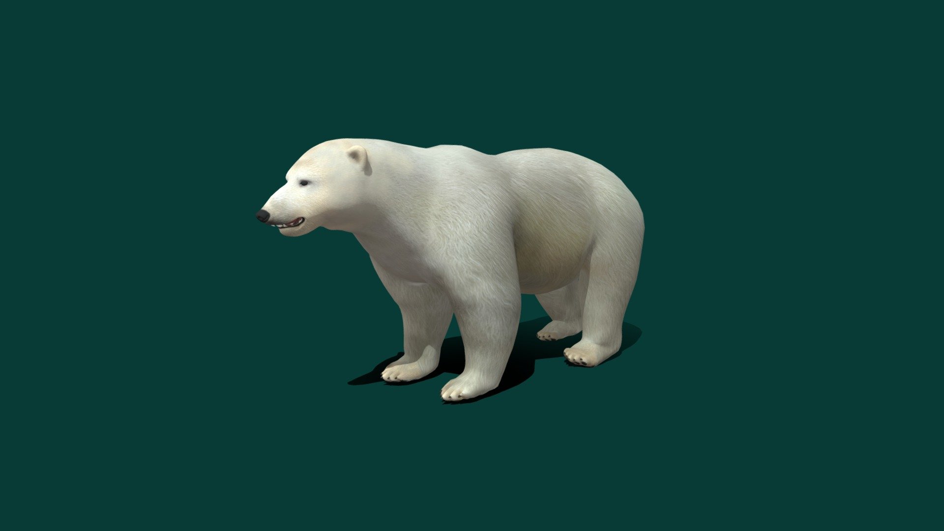 Polar Bear - 3D model by Nyilonelycompany [7f4cd69] - Sketchfab