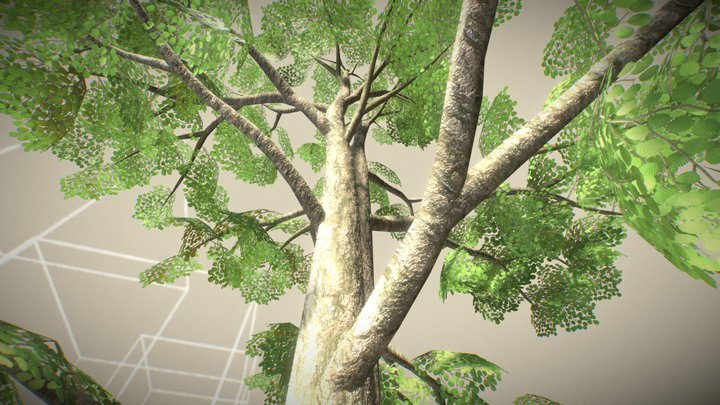 Tree-animation 3D models - Sketchfab