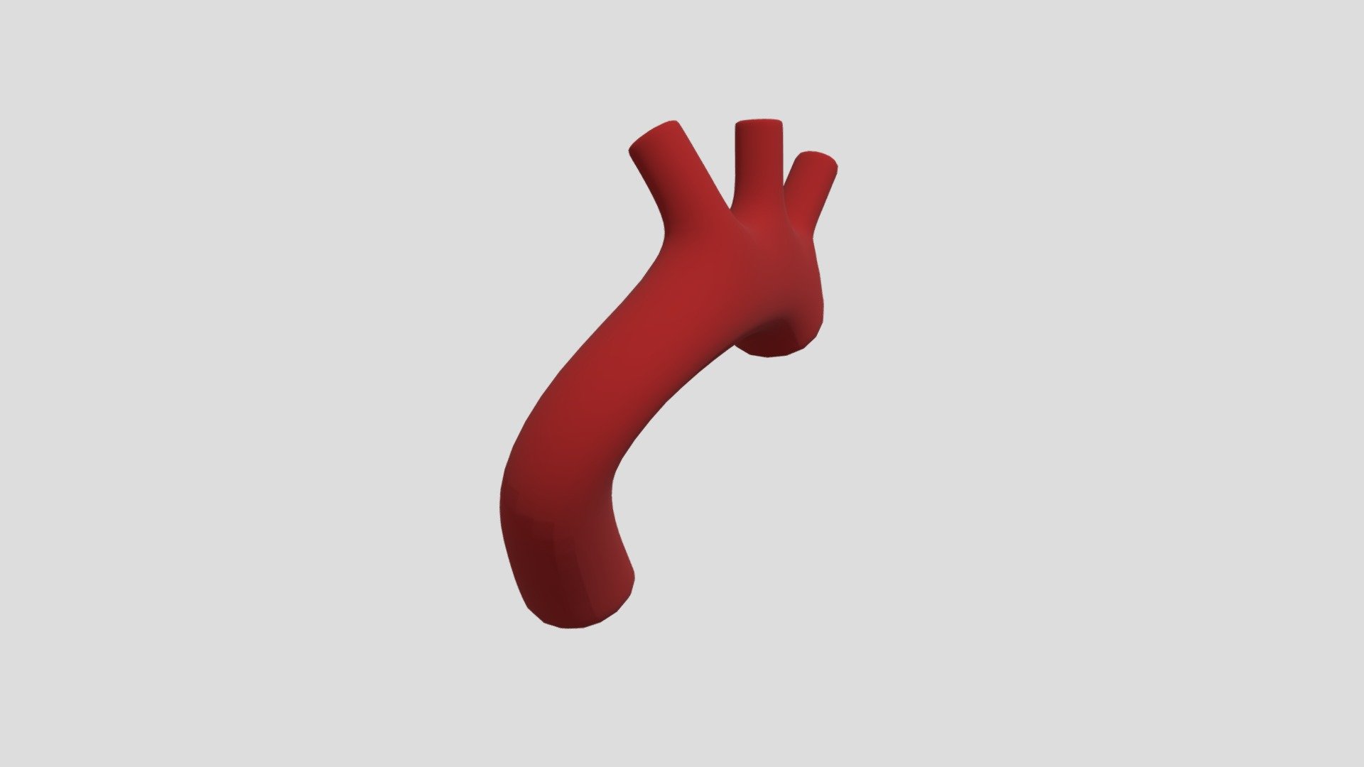 Aorta - 3D model by cetep [7f693fd] - Sketchfab