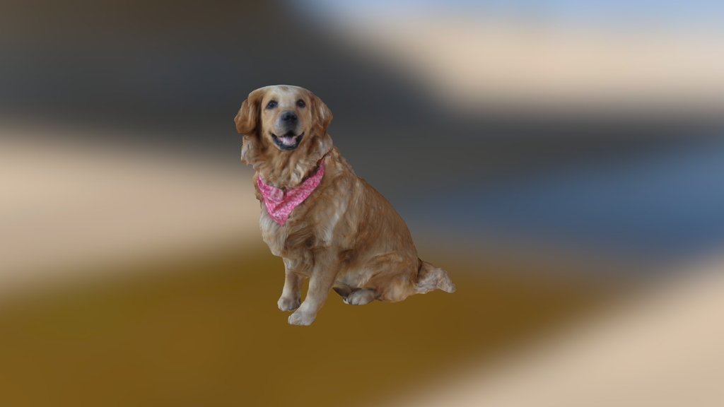 Golden - 3D model by arthurchanyf [7f6c376] - Sketchfab