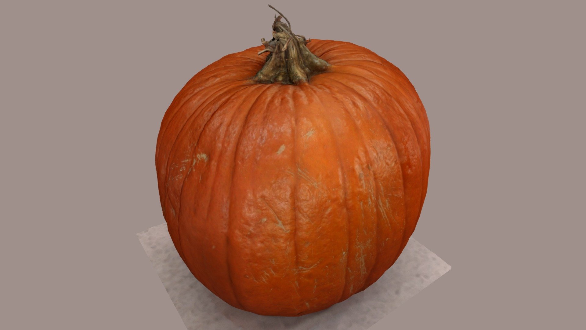 Pumpkin - Buy Royalty Free 3D model by sebel (@sebelz) [7f712c8] - Sketchfab Store
