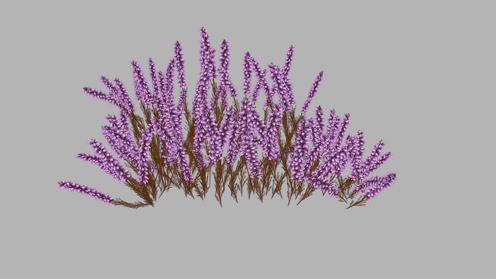 heather_moors - 3D model by siriusliarts [7f74d52] - Sketchfab