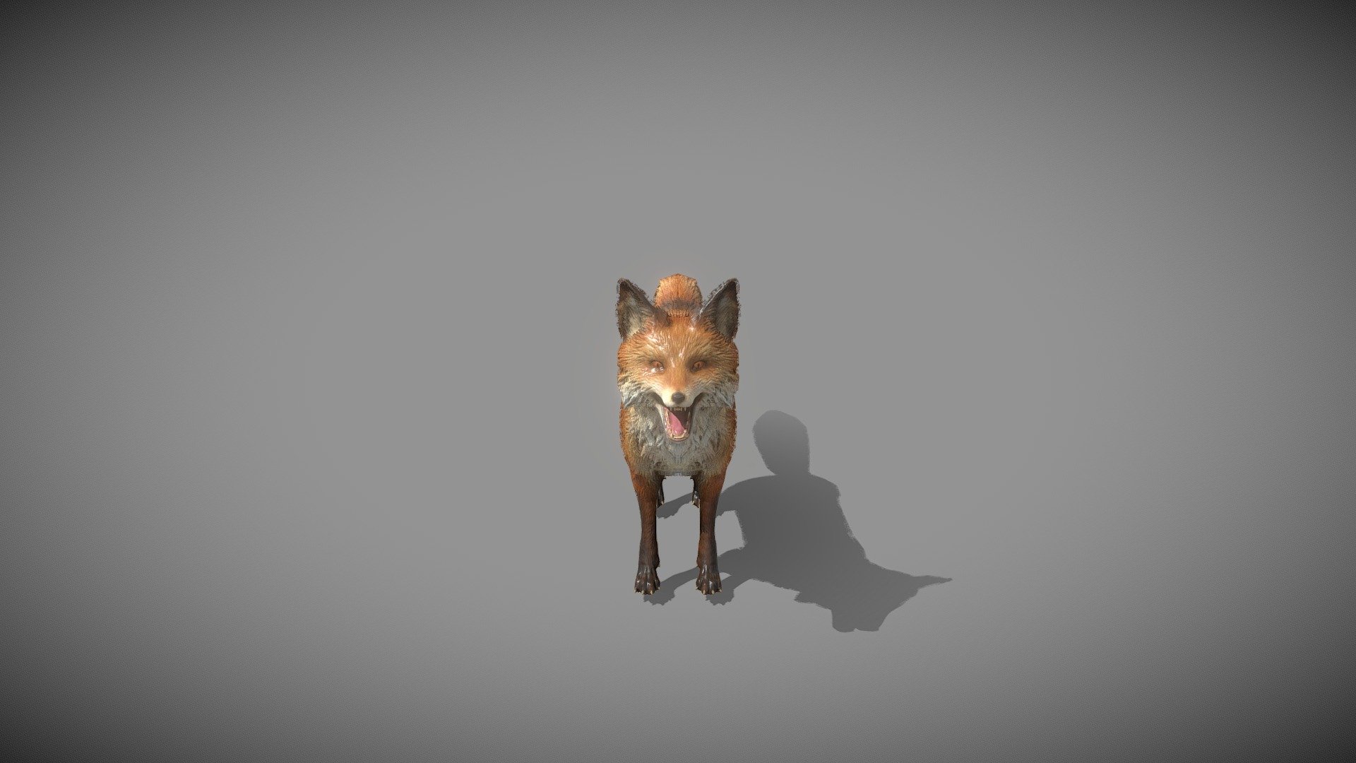 Fox - 3D model by DeadlyModels (@DeadlyNoob) [7f751bd] - Sketchfab