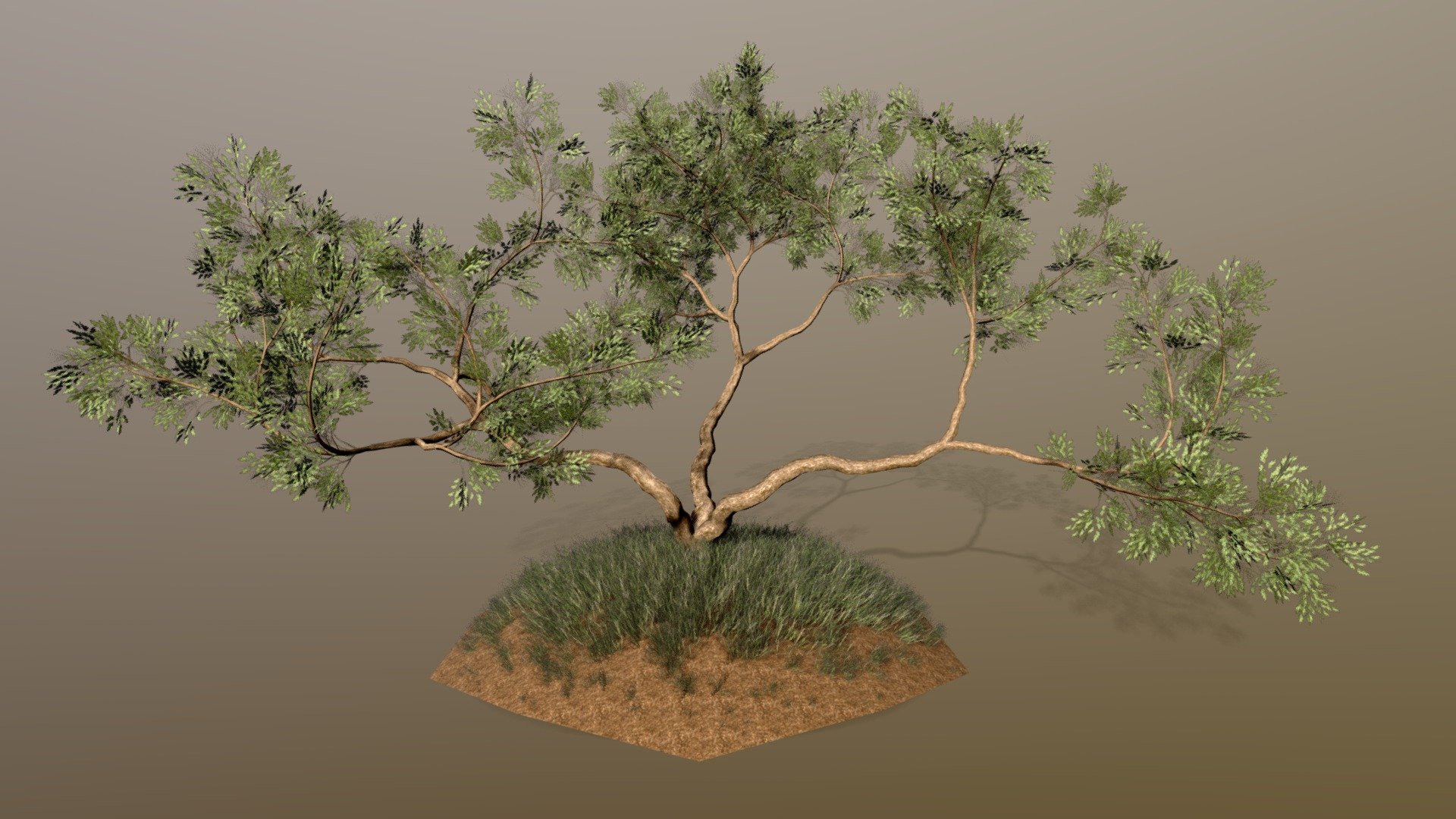 Ancient Oak Tree Collection - Buy Royalty Free 3D model by Jagobo ...