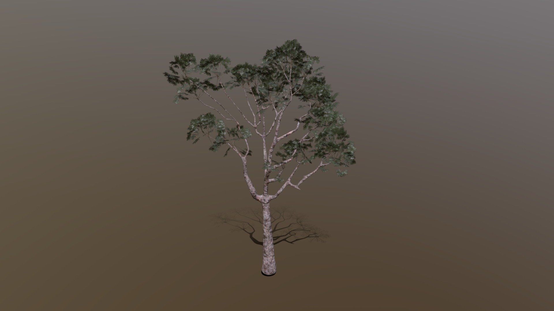 Red Angelim - 3D model by dgran [7f7dc77] - Sketchfab