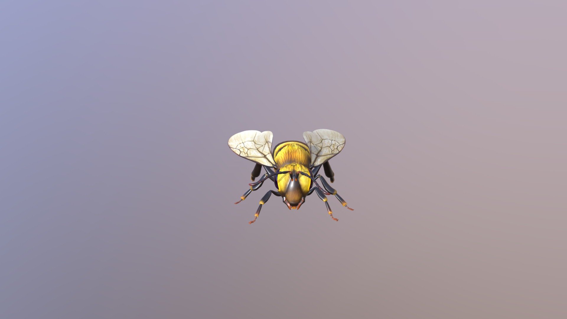 Bee - 3D model by waqasishere22 [7f7ef77] - Sketchfab