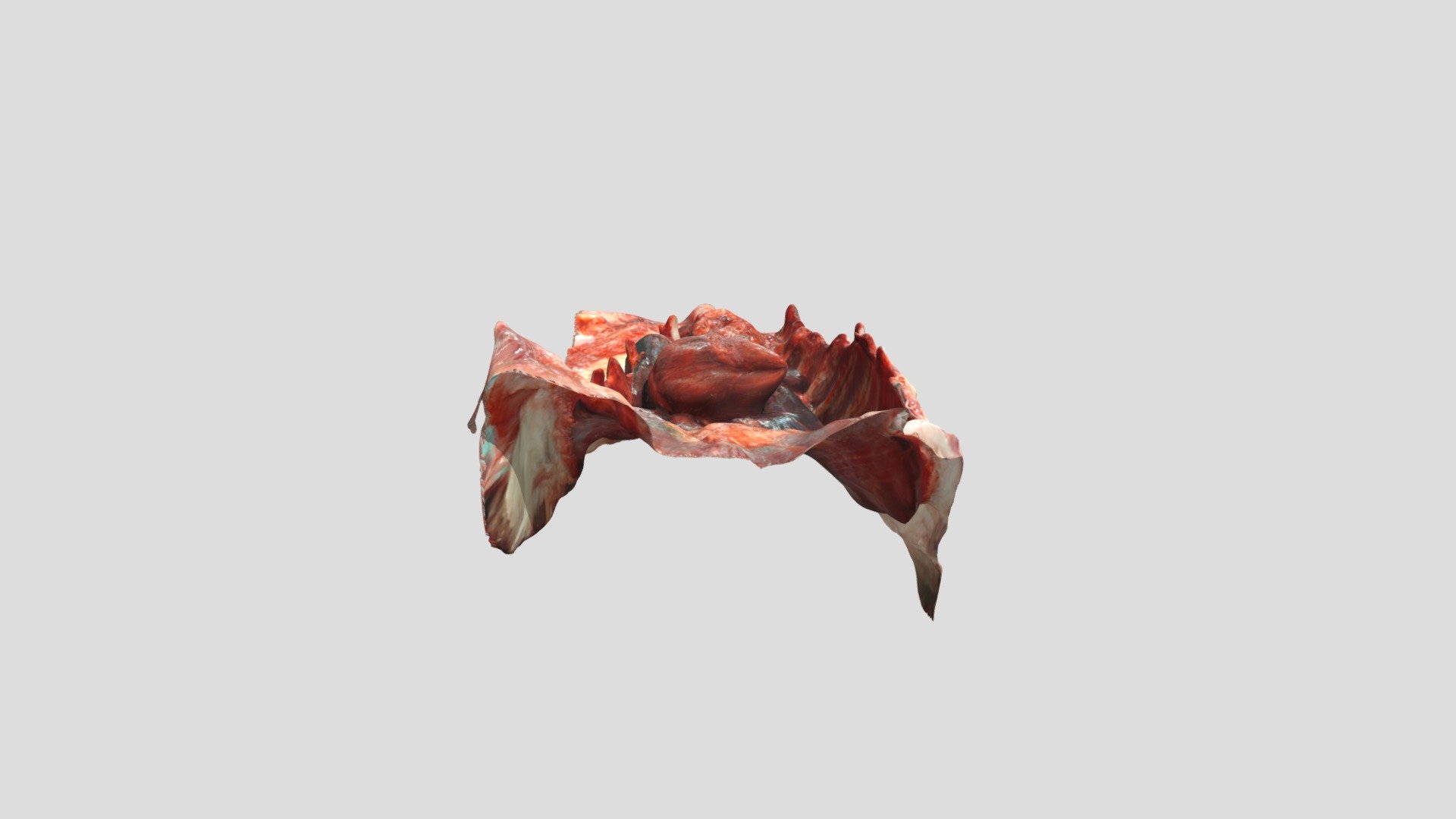 Heart In Situ_dog_december_2022 - 3D model by imiisrael [7f80370 ...