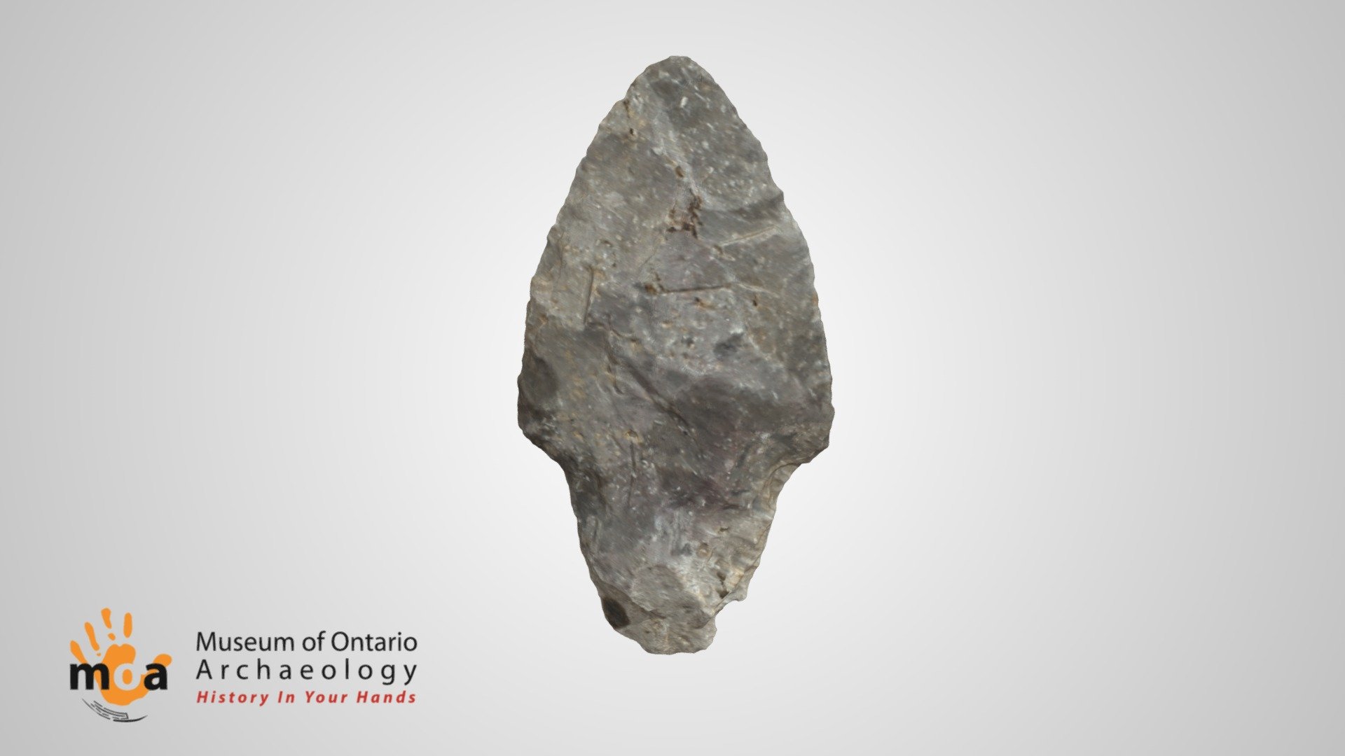 Projectile Point - Adena - FD-11732 - 3D model by MuseOntArch [7f81937 ...