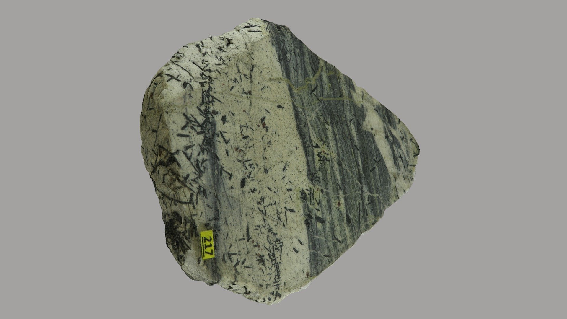 Graphite schist, Zillertal, Austria - Download Free 3D model by Sara ...