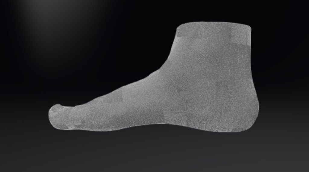 Caucasian Male age 35 right foot wireframe - 3D model by Anatomy Next ...