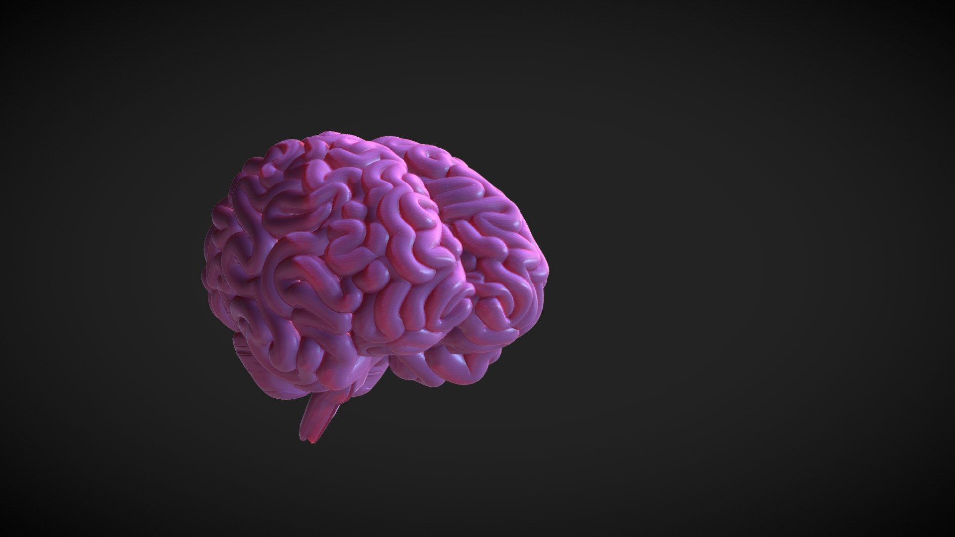 Brain - Download Free 3D model by MANGAllER [7f9aa2b] - Sketchfab