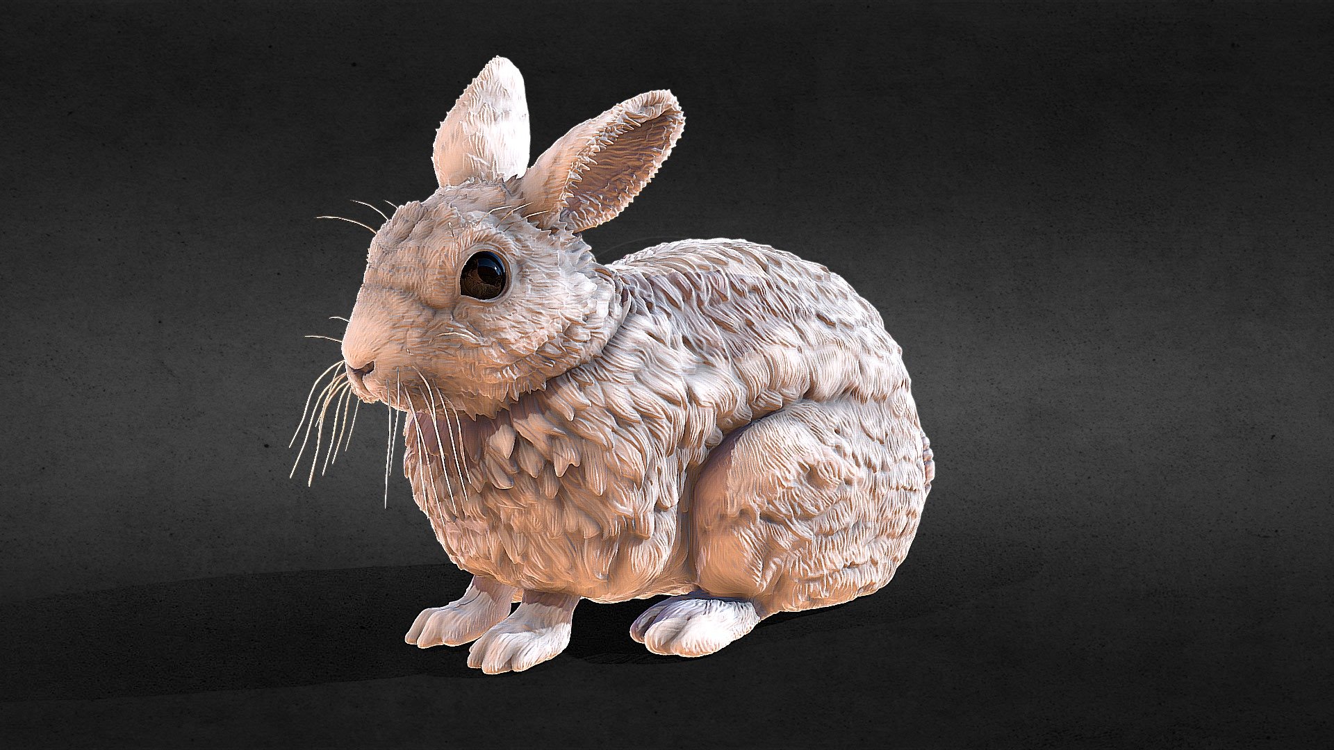 rabbit - 3D model by HAYDAN9999 [7f9f0b3] - Sketchfab