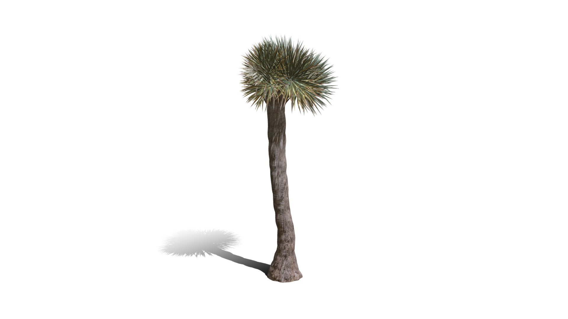 Realistic HD Dragon tree (23/50) - Buy Royalty Free 3D model by ...