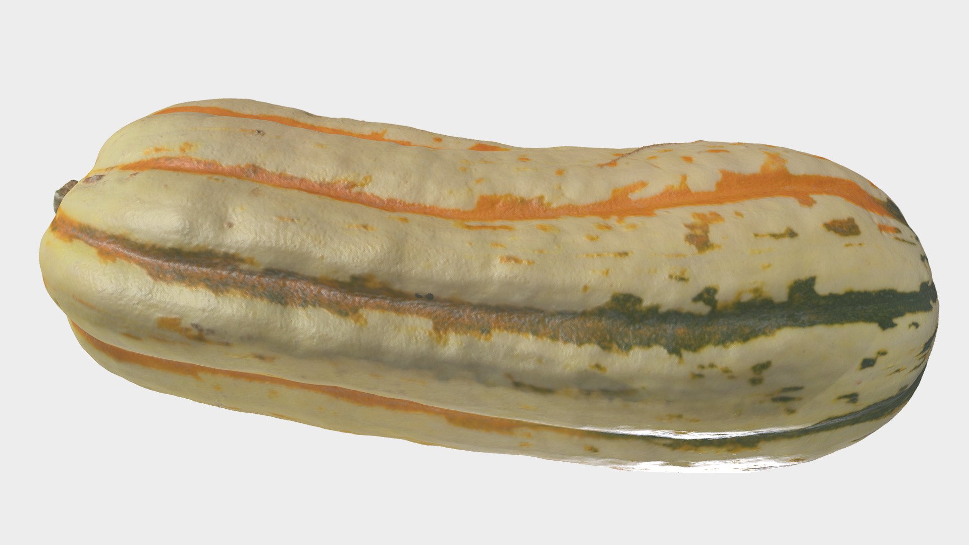 Delicata Squash 3D Scan - Download Free 3D model by Arkify 3D (@arkify ...