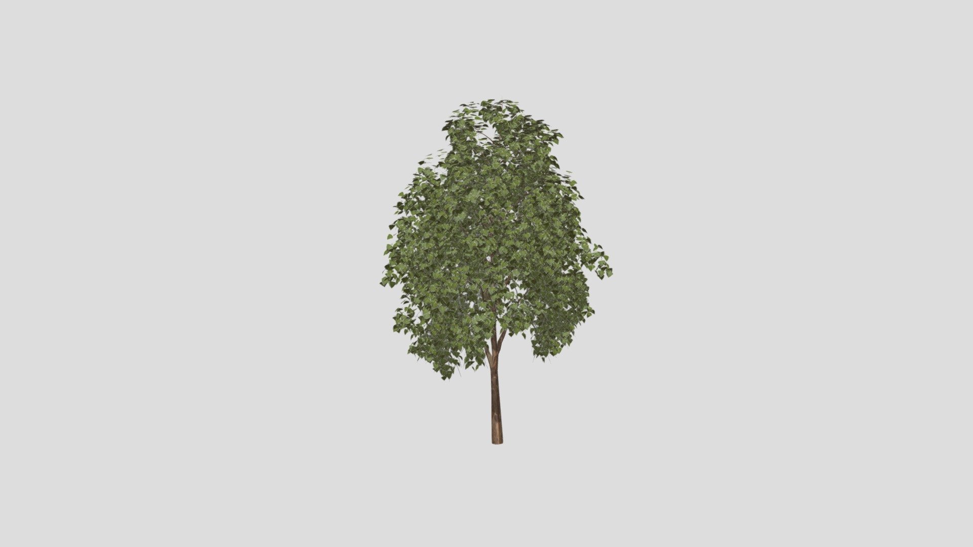 Tree1 - copy - 3D model by Interactive 3D Data (@proteinsimulation ...