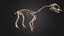 Mussaurus Hatchling Skeleton - 3D model by Olof Moleman (@lordtrilobite ...