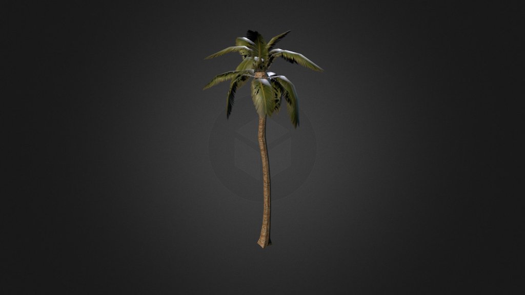 Prop_Palm_Tree_a - 3D model by Steenhaut Alex (@SteenhautAlex) [7fb59e1 ...