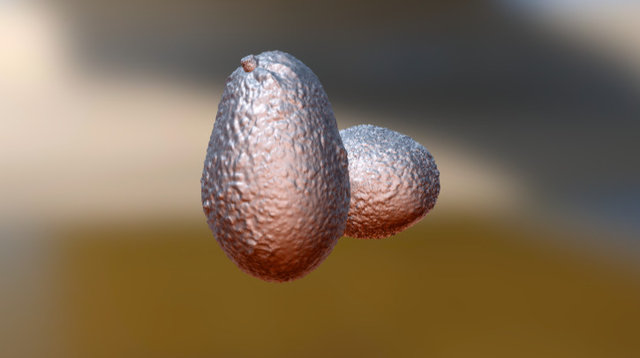 Hass 3D models - Sketchfab