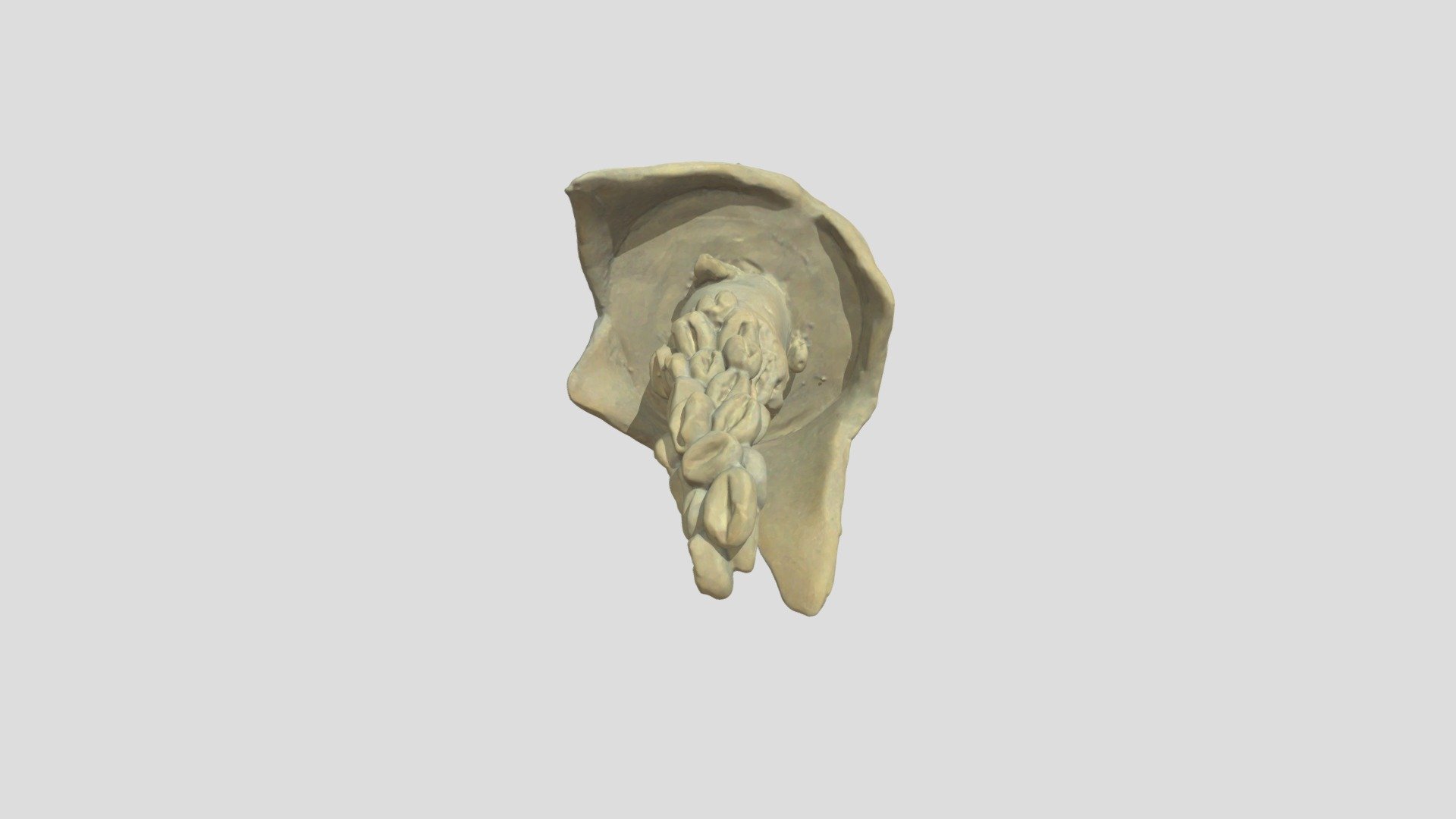 Sigma ceramic - 3D model by Donald (@s2022022) [7fcb1e4] - Sketchfab