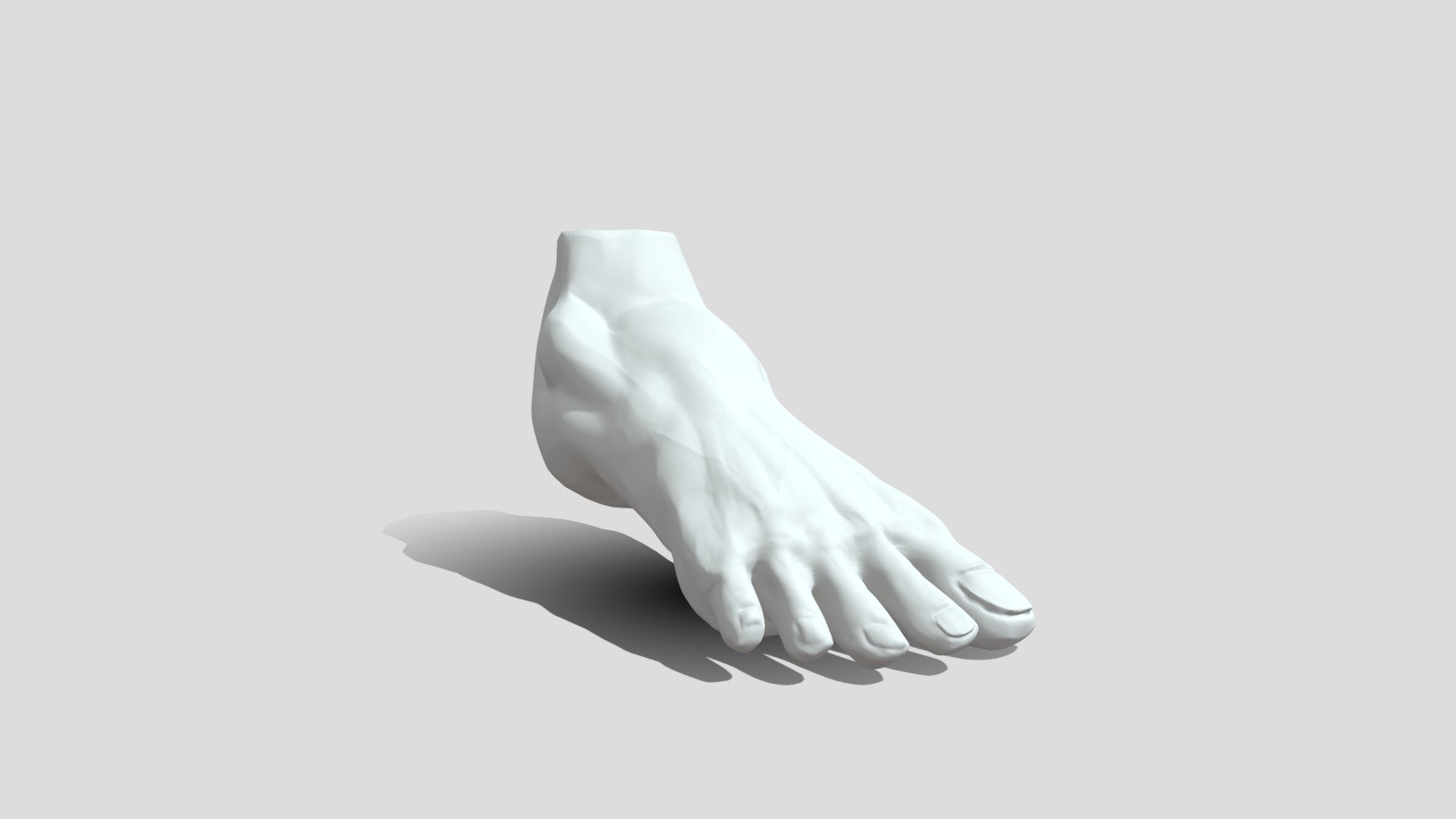 Foot study - Download Free 3D model by sciamop [7fd6a43] - Sketchfab