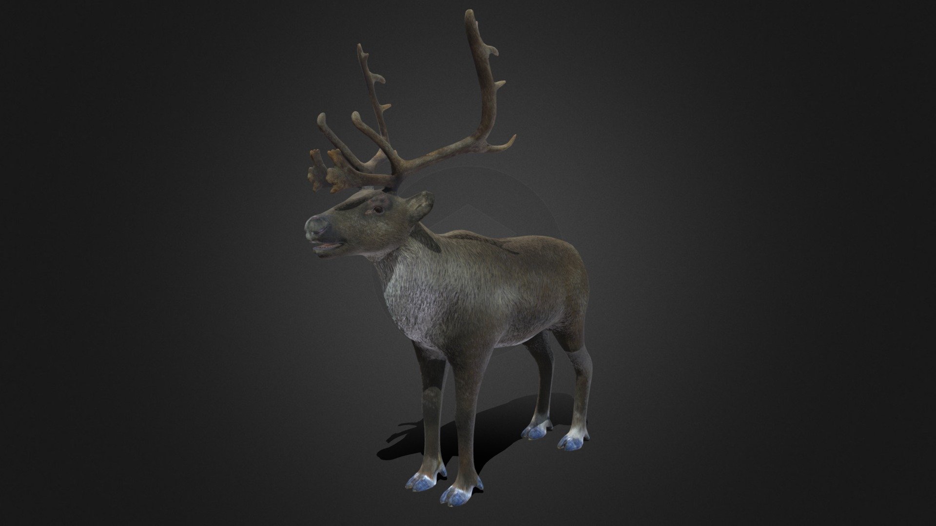 Reindeer - Buy Royalty Free 3D model by Owltic [7fe4f02] - Sketchfab Store