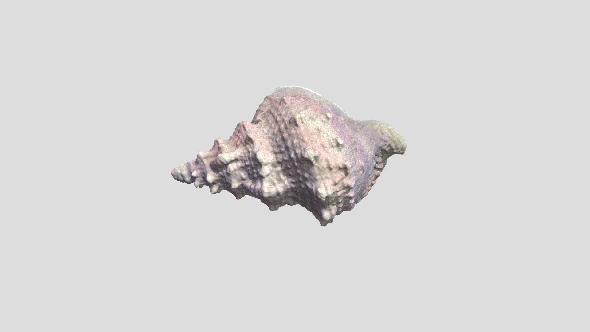 OBJECT1-SEASHELL - 3D model by ChristineJulietDG. [7fe8eaf] - Sketchfab