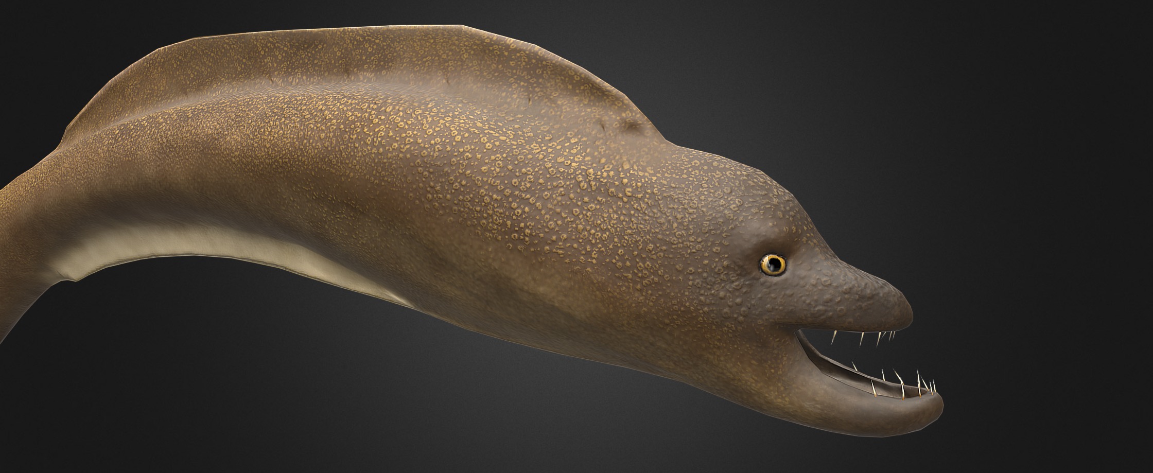 Moray - 3D model by Jandro_094 (@alejandroperez2014) [7fe9fcc] - Sketchfab