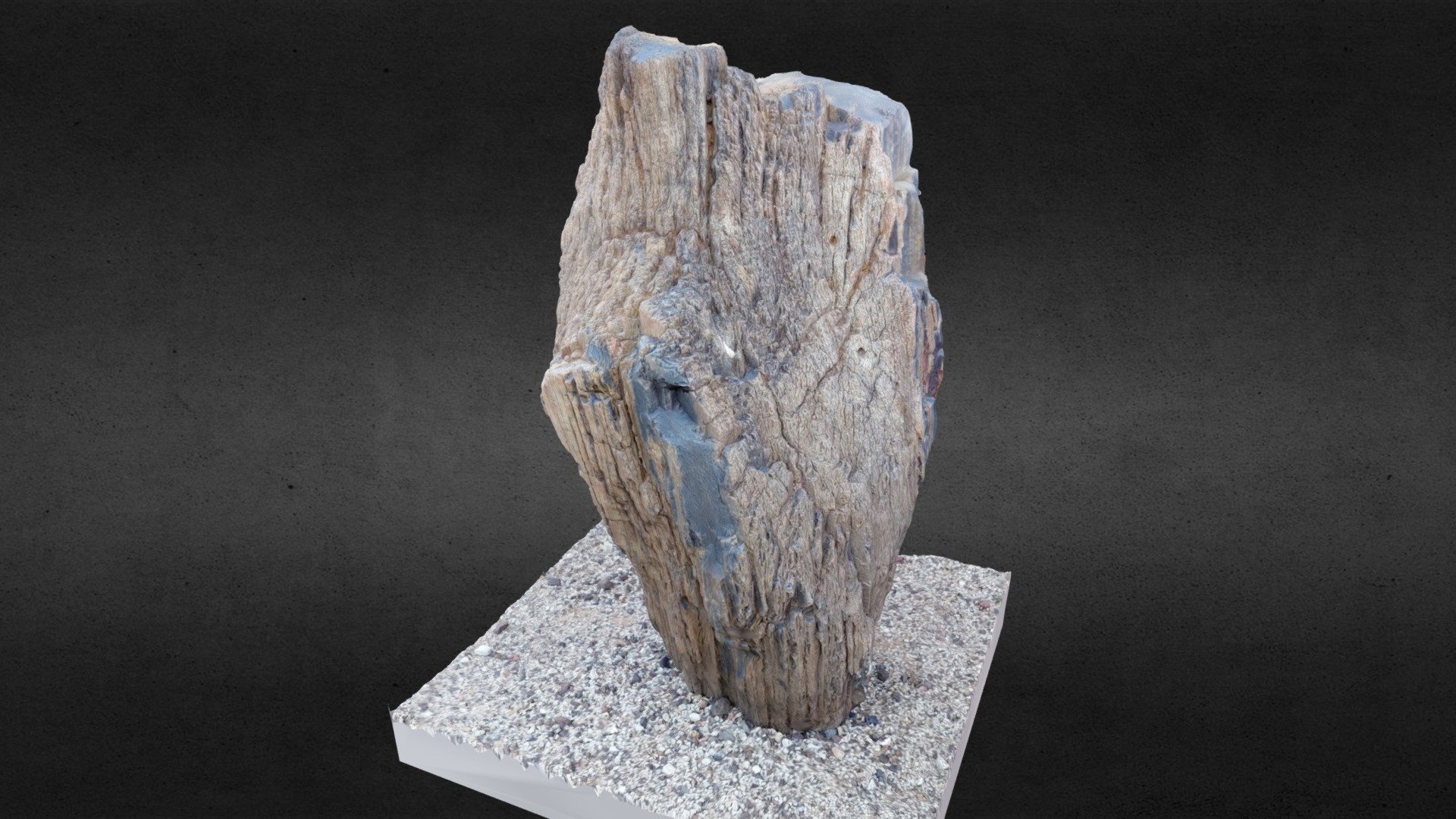 Petrified wood stump - Download Free 3D model by col.opalton [7fefcbc ...