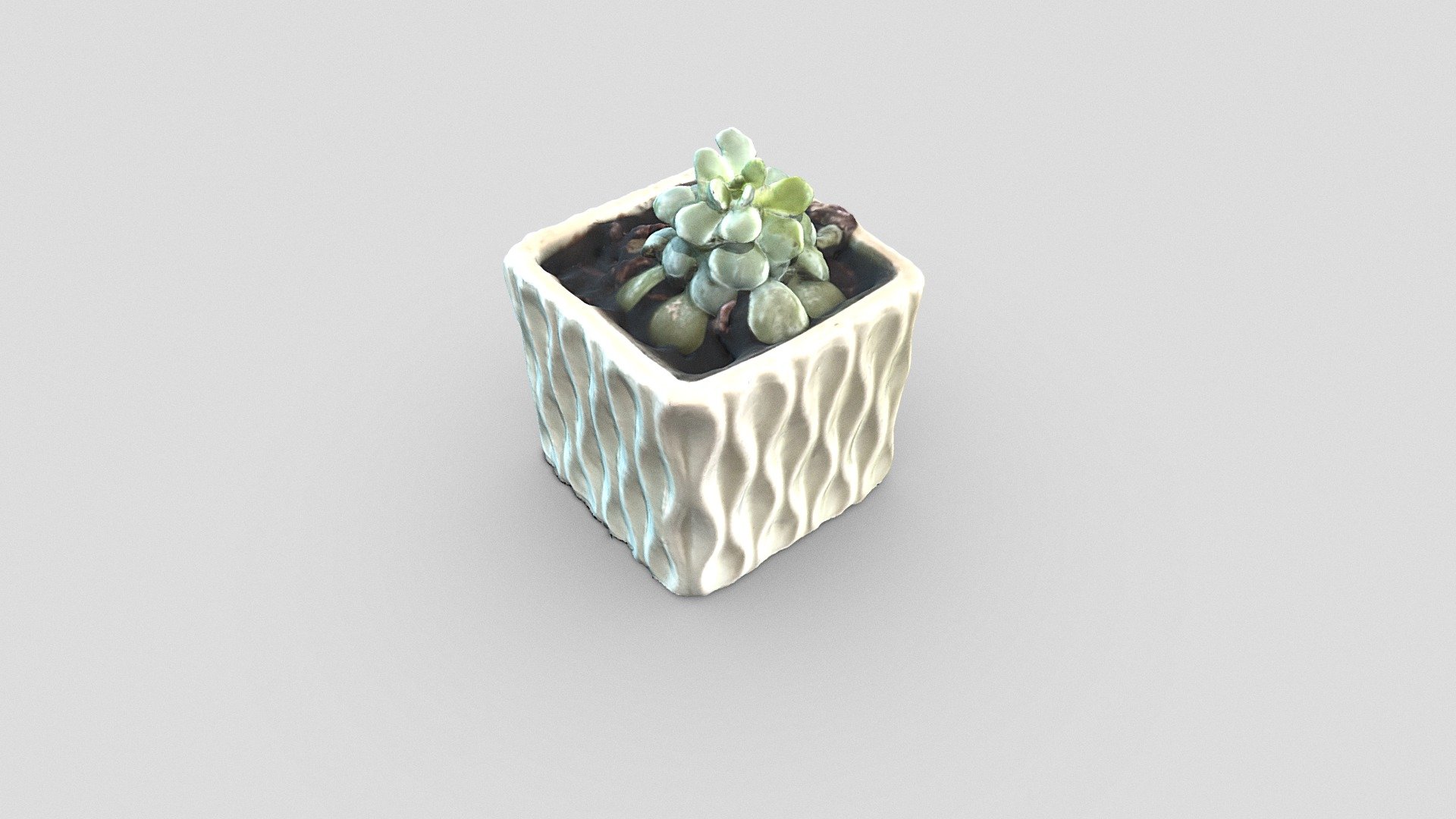 FREE >> Small succulent in planter - Download Free 3D model by GrrHero ...