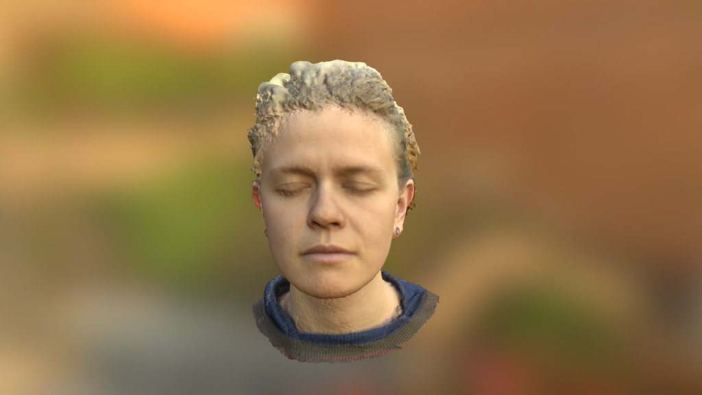 Your face in 3D - 3D model by Data drones - Prestations techniques par ...