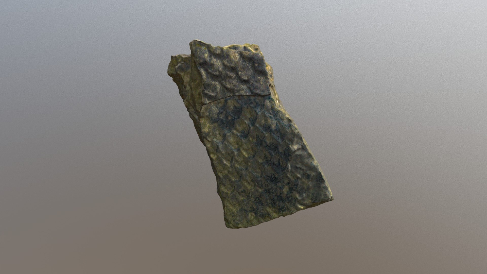 Lepidodendron fossil (VCU_3D_3431) - Download Free 3D model by Virtual Curation Lab ...