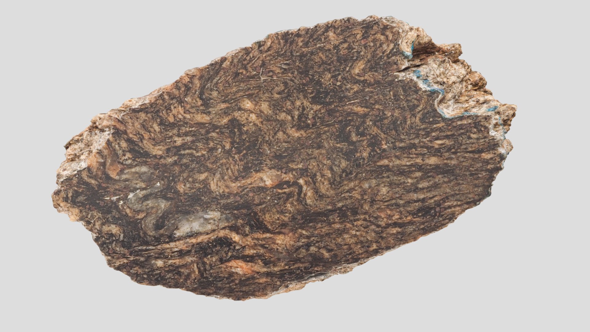 Mica schist with folded compositional layering - Download Free 3D model ...