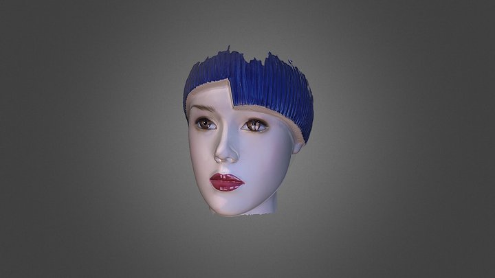 3d-face-scanner 3D models - Sketchfab
