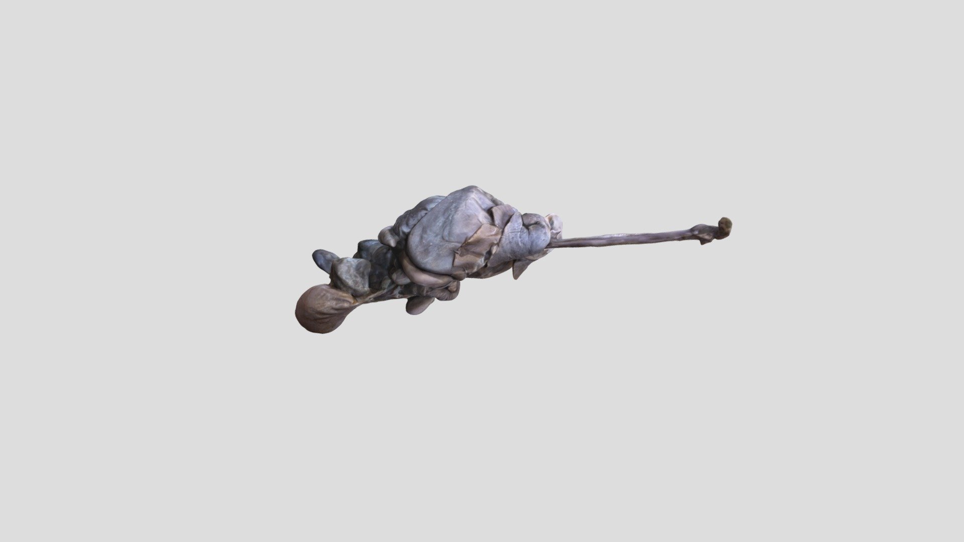 31_05_2026 (2) - 3D model by aryanesilva [800b59c] - Sketchfab