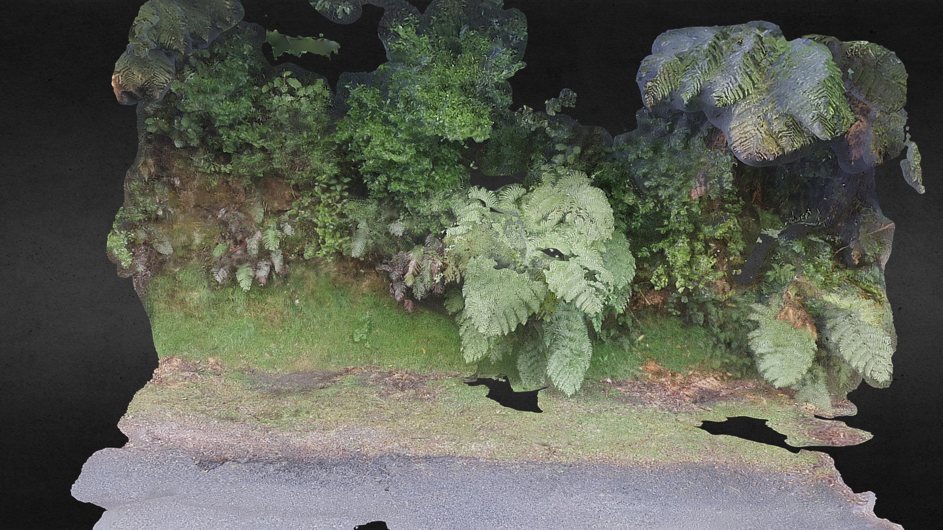 bush - 3D model by 360Degrees [800d6a2] - Sketchfab
