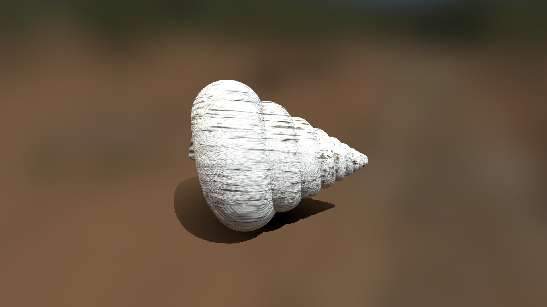 seashell - Download Free 3D model by cleisonrodrigues (@cleisonctga ...