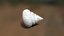 seashell - Download Free 3D model by cleisonrodrigues (@cleisonctga ...