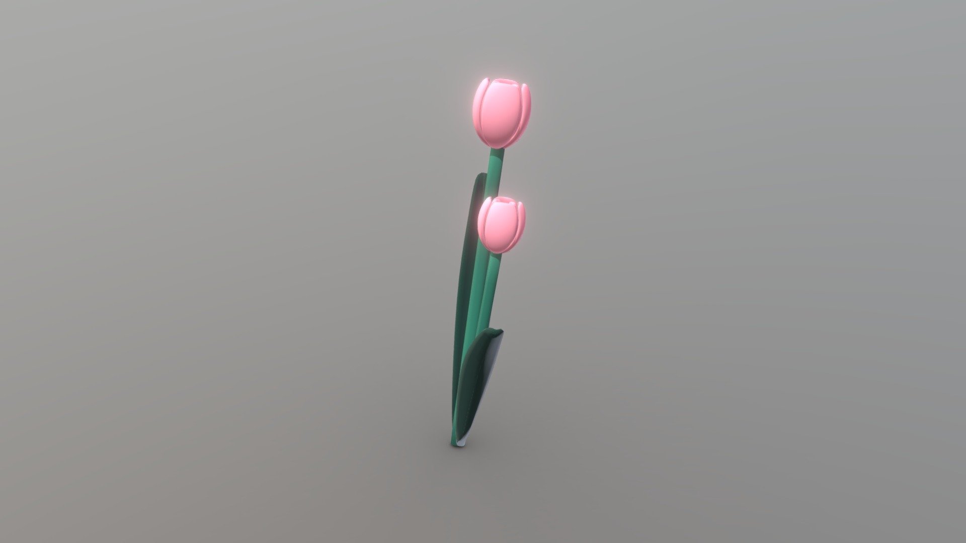 tulip - 3D model by harshitaa_varma [801b8cd] - Sketchfab