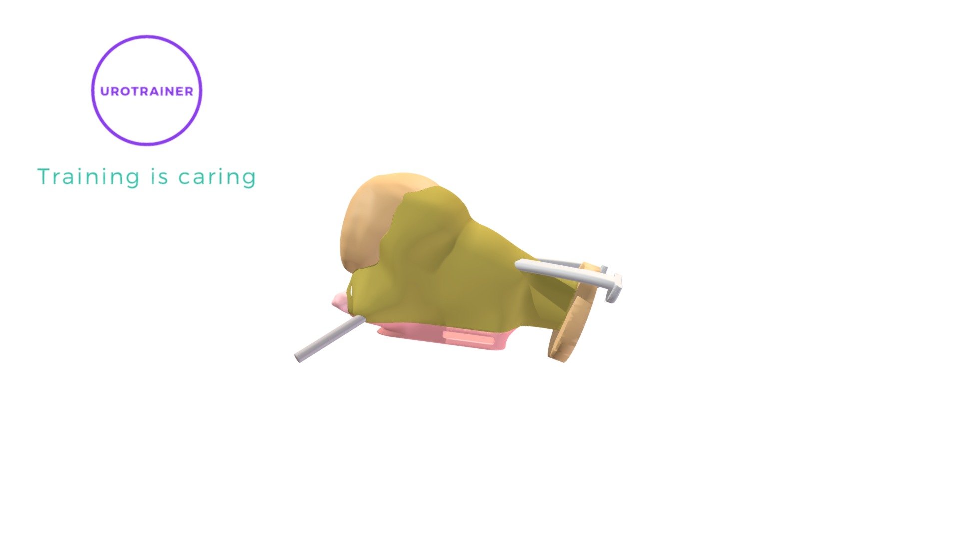 Urotrainer VP - 3D model by MIRAI3D [802b49b] - Sketchfab