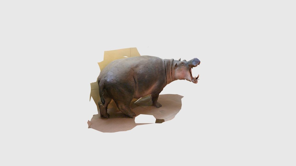 animals - mammals - A 3D model collection by McTeeth - Sketchfab