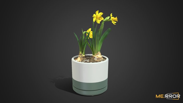 Flower-pot 3D models - Sketchfab