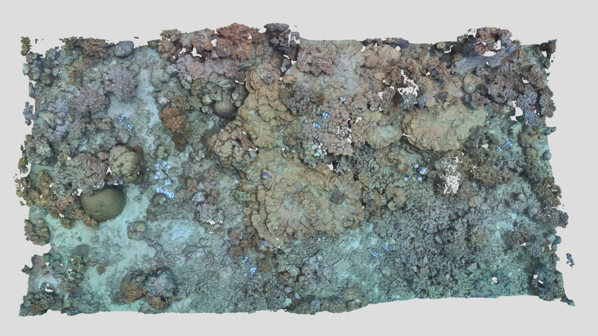 Masig_FR1S_P2_202104 - Download Free 3D model by EcoRRAP (@AIMSEcoRRAP ...