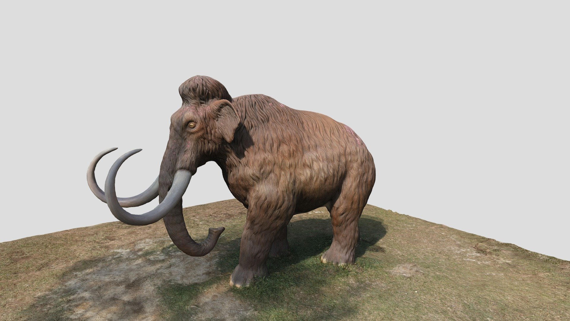 Mammoth - 3D model by Prestige Geomatic Resources (@pgrsb) [8042091] - Sketchfab