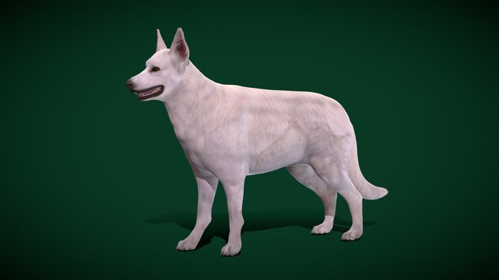 Shepherd 3D models - Sketchfab