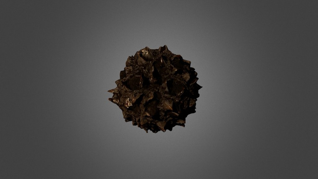 Plant seed - 3D model by giordyb [804d74a] - Sketchfab