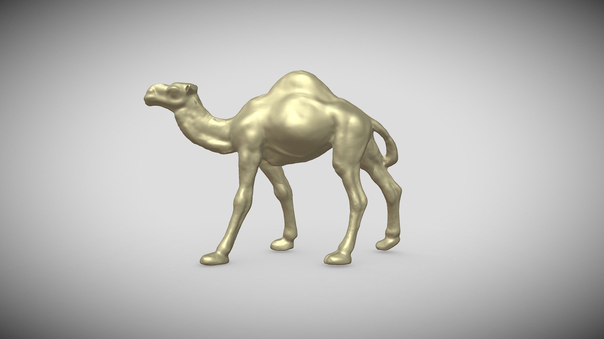 camel - 3D model by sargonkw [8058c00] - Sketchfab